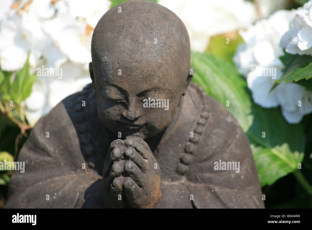 Praying hands buddha hi-res stock photography and images - Alamy