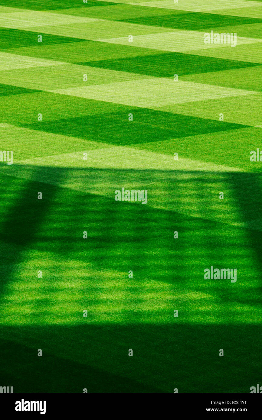 Freshly cut grass on the football pitch of the new Aviva Stadium in ...