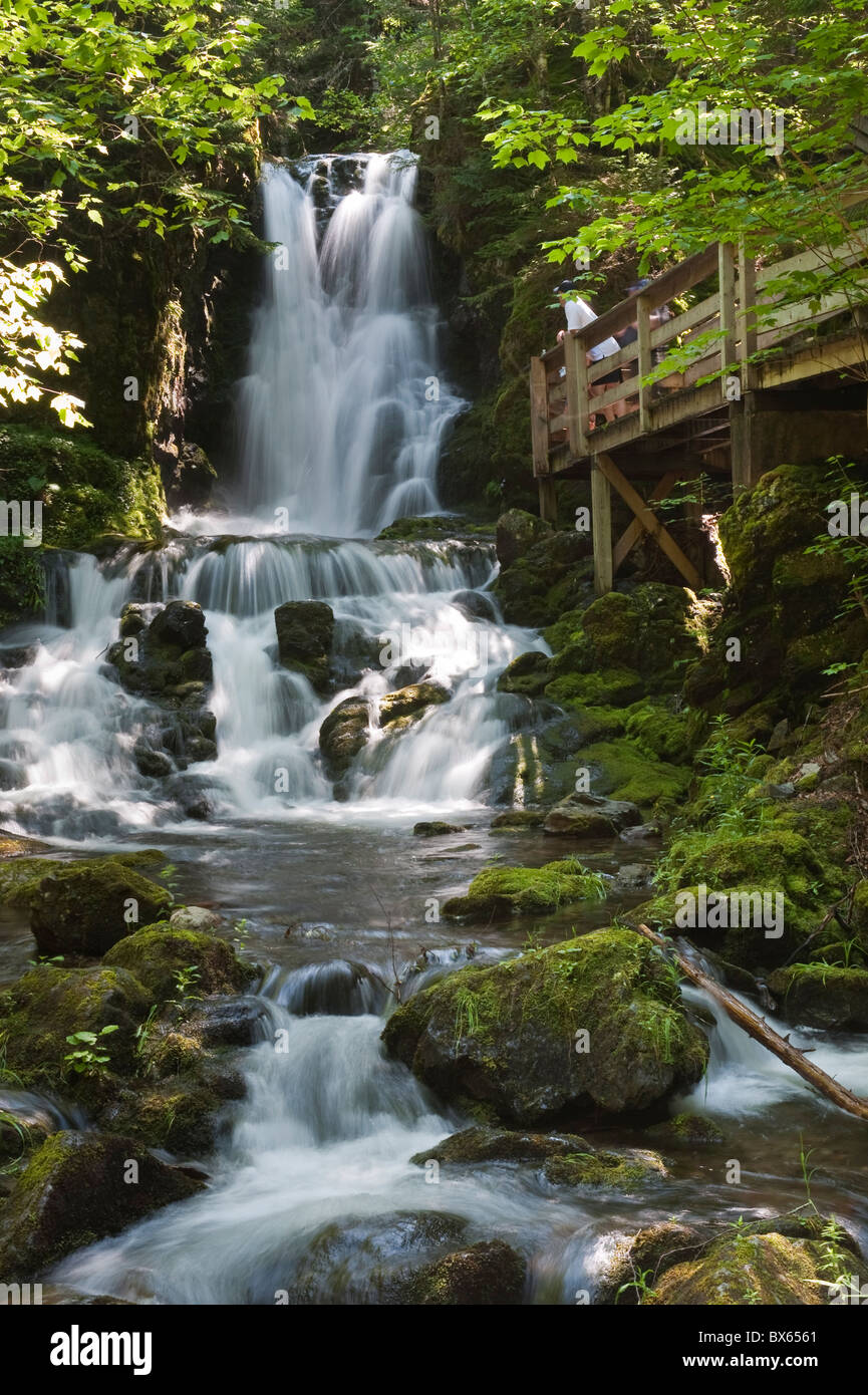 Dickson Falls in Fundy National Park, New Brunswick, Canada, North ...