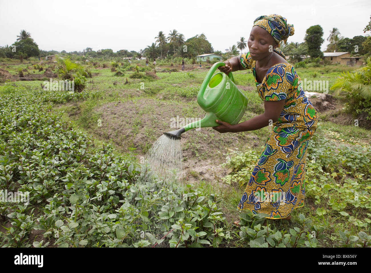 African girl watering plants hi-res stock photography and images - Alamy