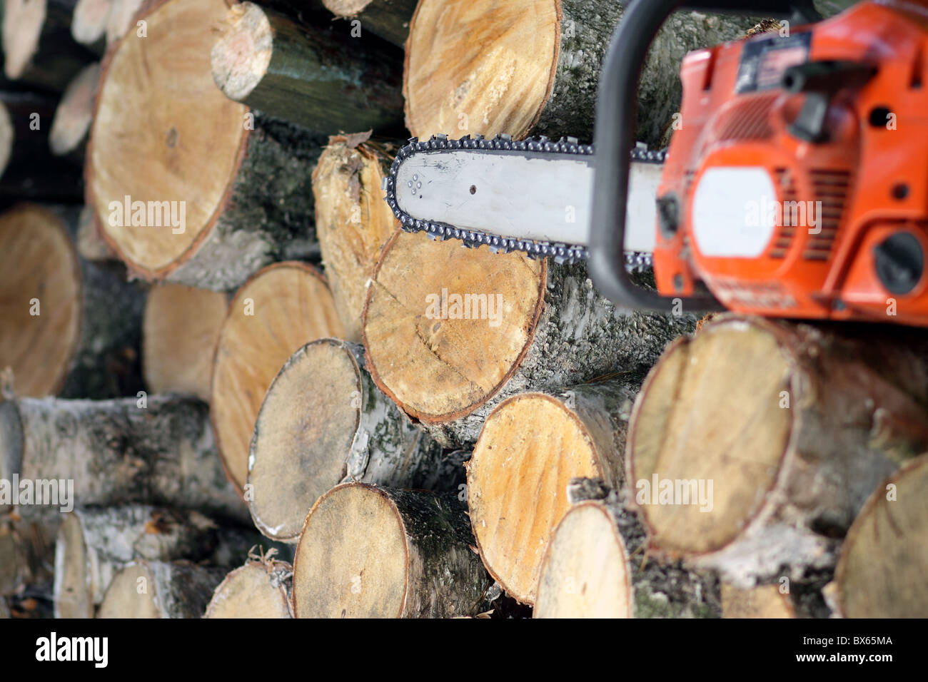 Chainsaw chain stretch hi-res stock photography and images - Alamy