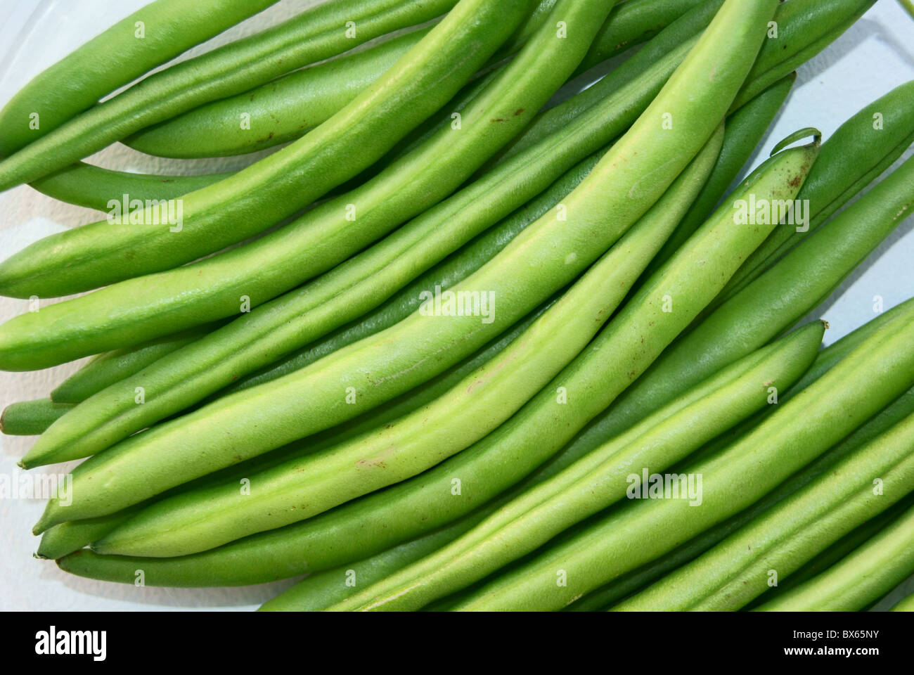 Haricot vert hi-res stock photography and images - Alamy