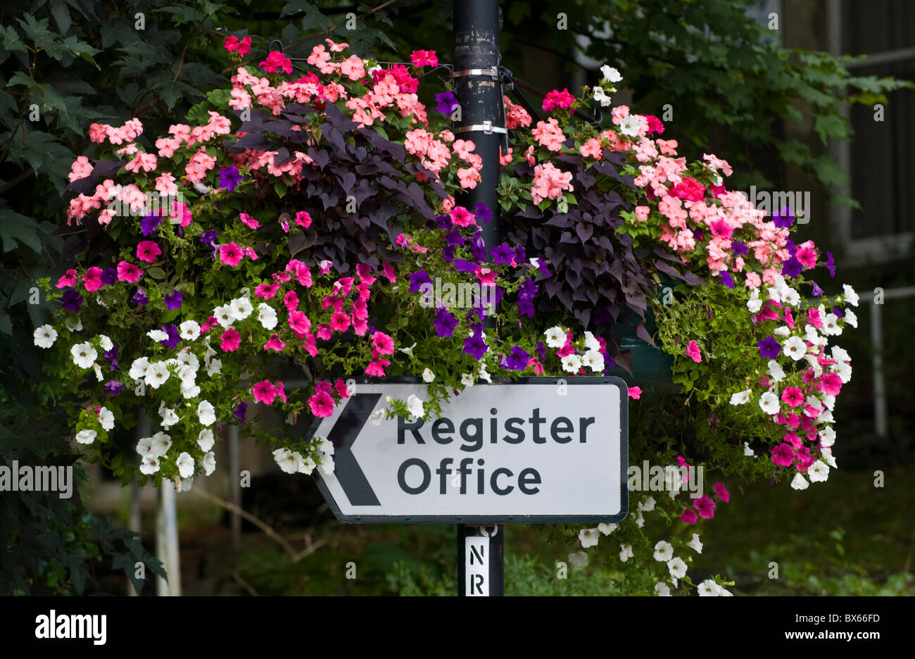 Floral display over Register Office sign in city centre Newport South ...