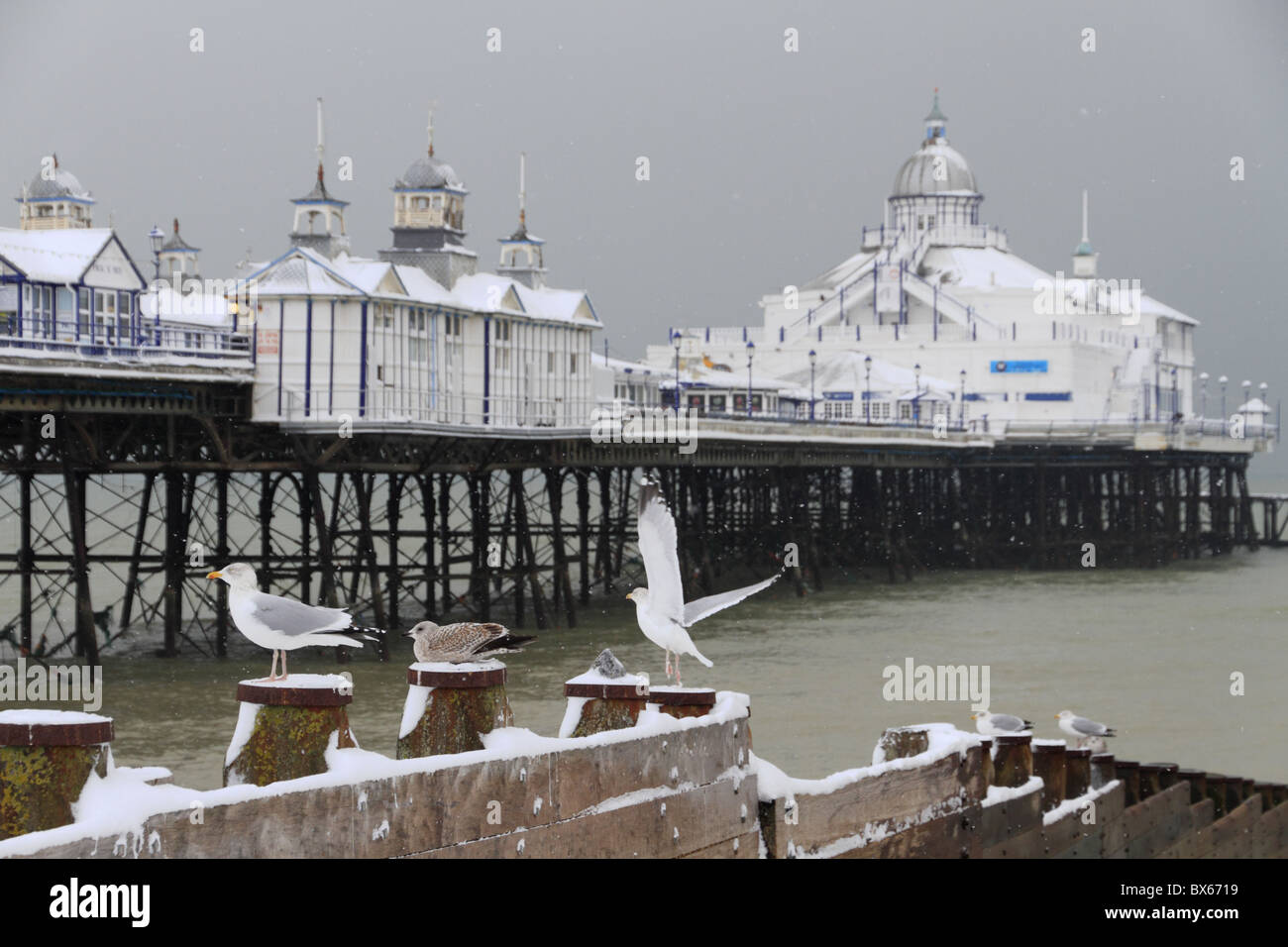 Snowfall on Eastbourne seafront, East Sussex, England Stock Photo - Alamy