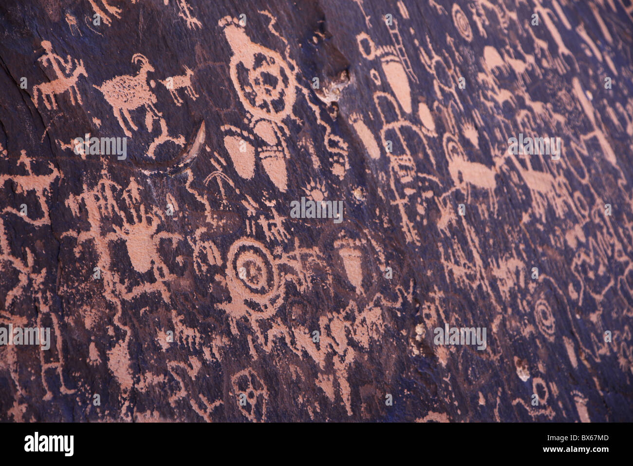Ancient American Indian petroglyphs at Newspaper Rock, Indian Creek ...
