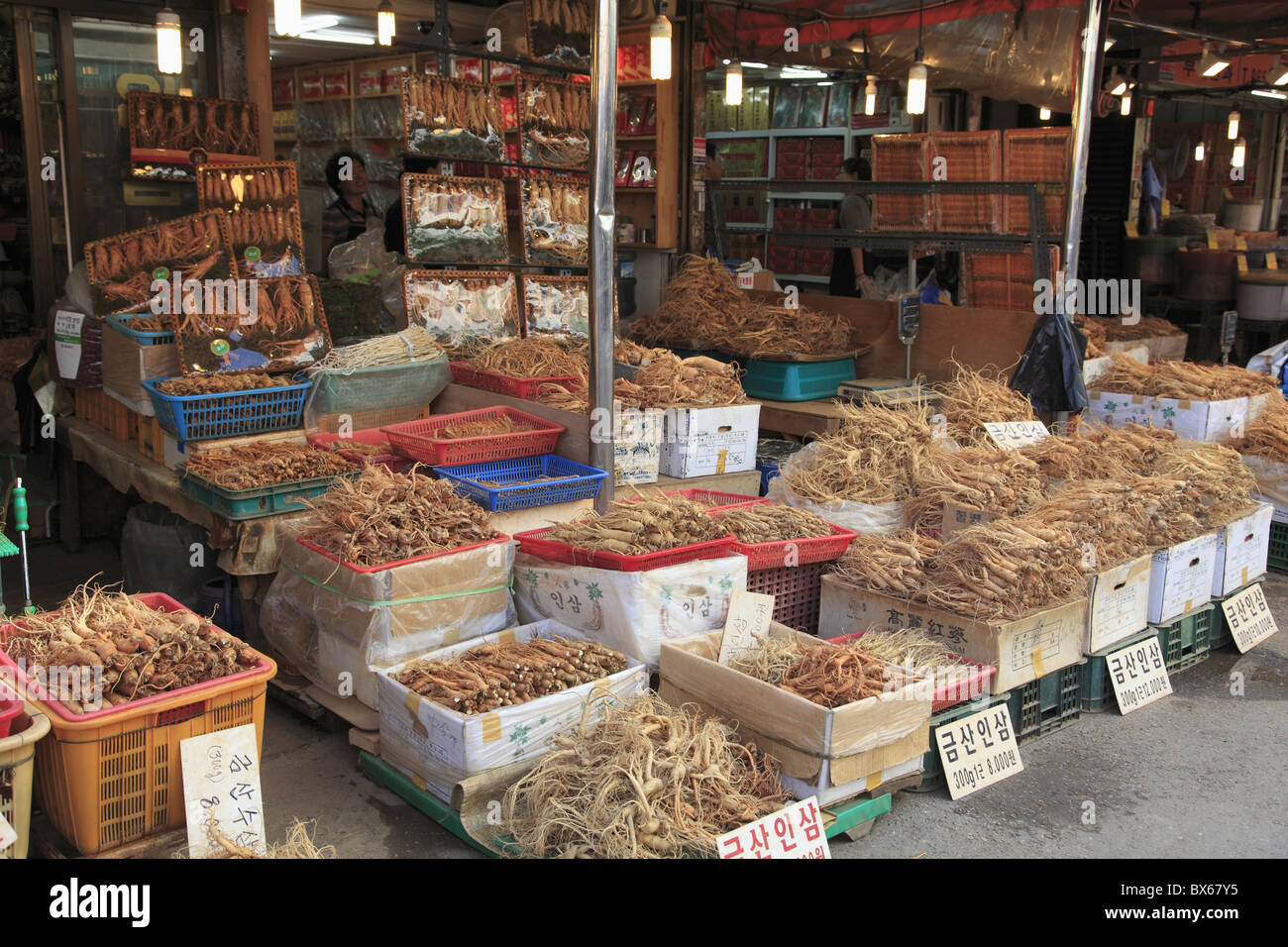 Ginseng, Gyeongdong Market, largest Asian medicine market in Korea ...