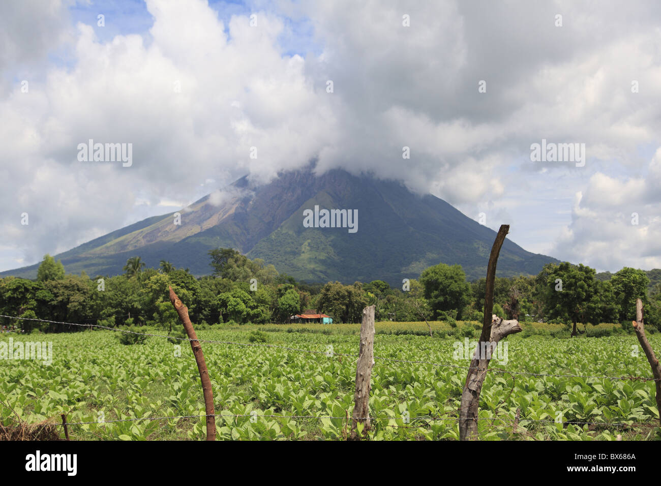 Volcano Concepcion, Isla de Ometepe, Ometepe Island, Nicaragua, Central ...