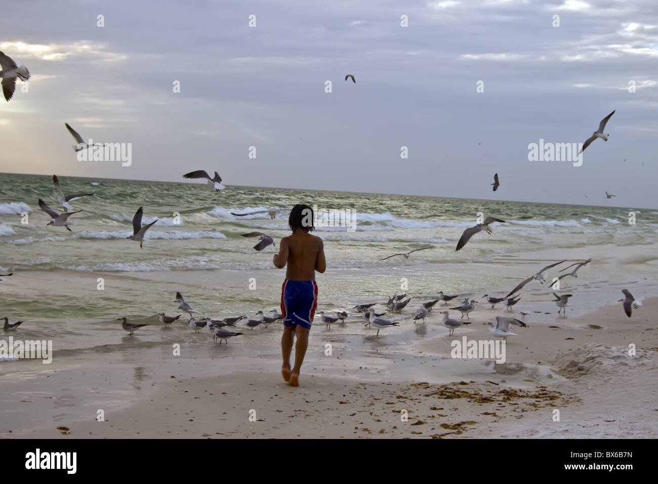 Boy chasing bird hi-res stock photography and images - Alamy