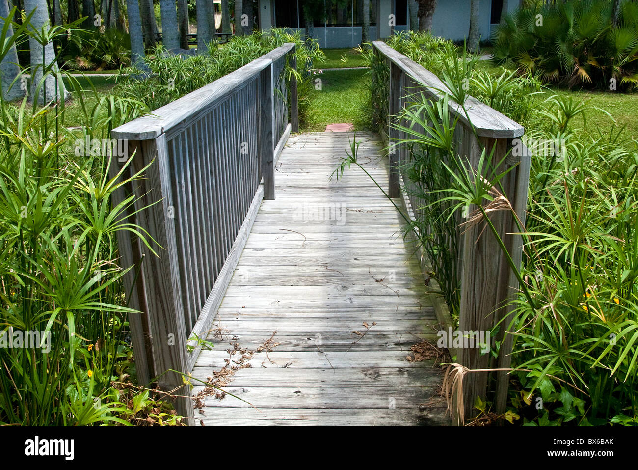Wooden bridge over a creek hi-res stock photography and images - Alamy