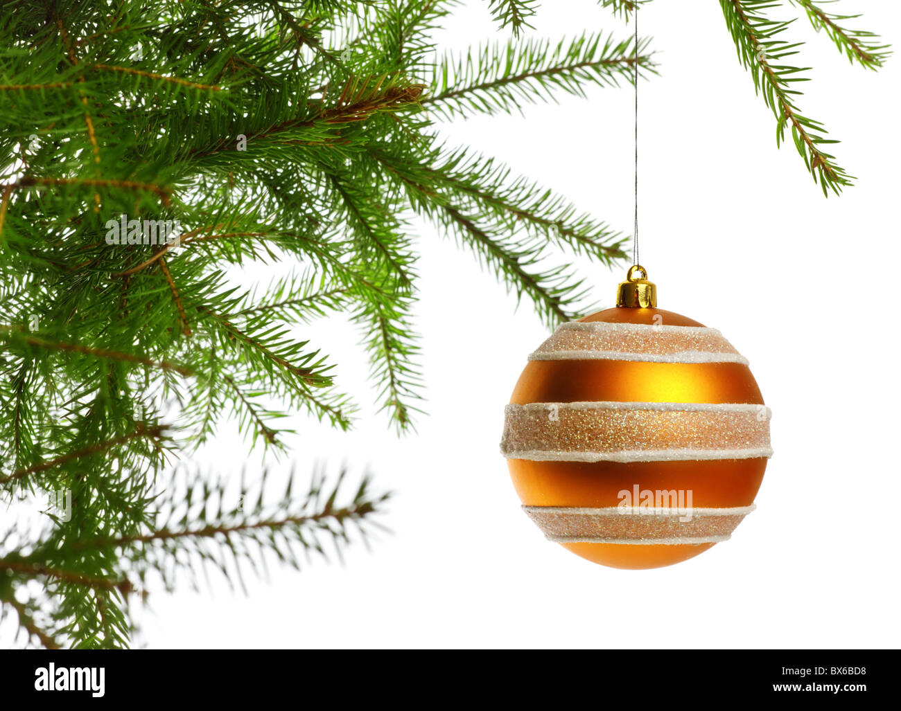 decoration ball on fir branch, white background Stock Photo - Alamy