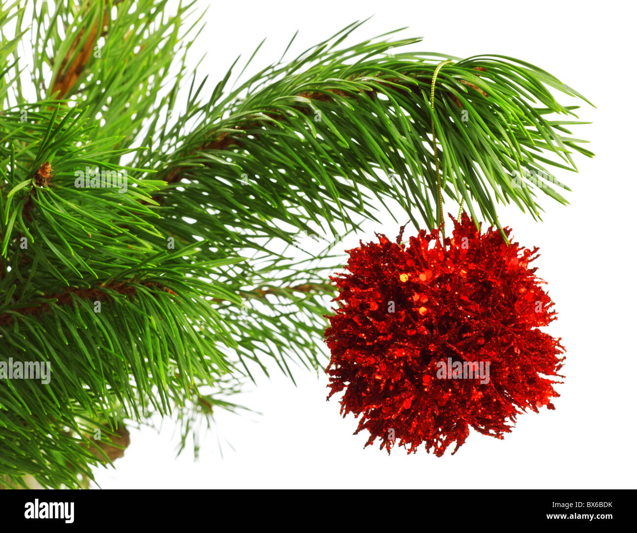 decoration ball on pine branch, white background Stock Photo - Alamy