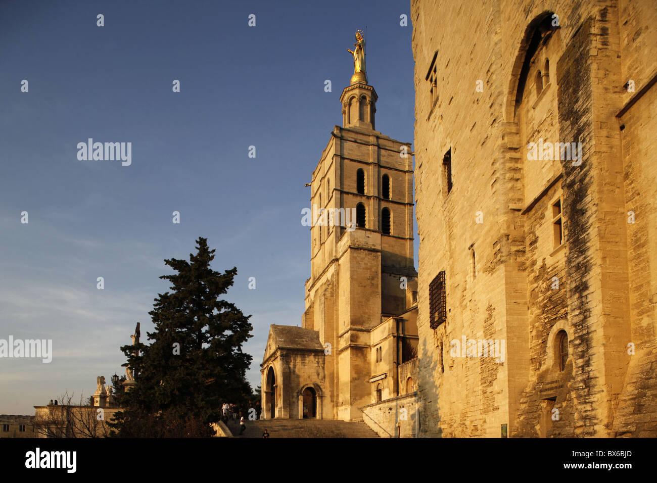 Cathedral and Palais des Papes, UNESCO World Heritage Site, Avignon ...