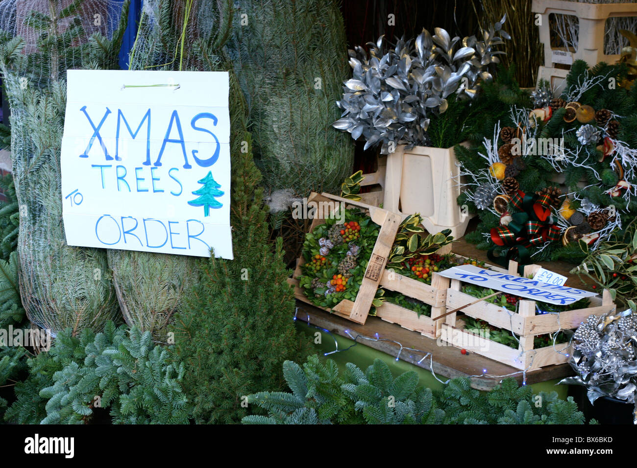 Christmas trees to order Stock Photo - Alamy