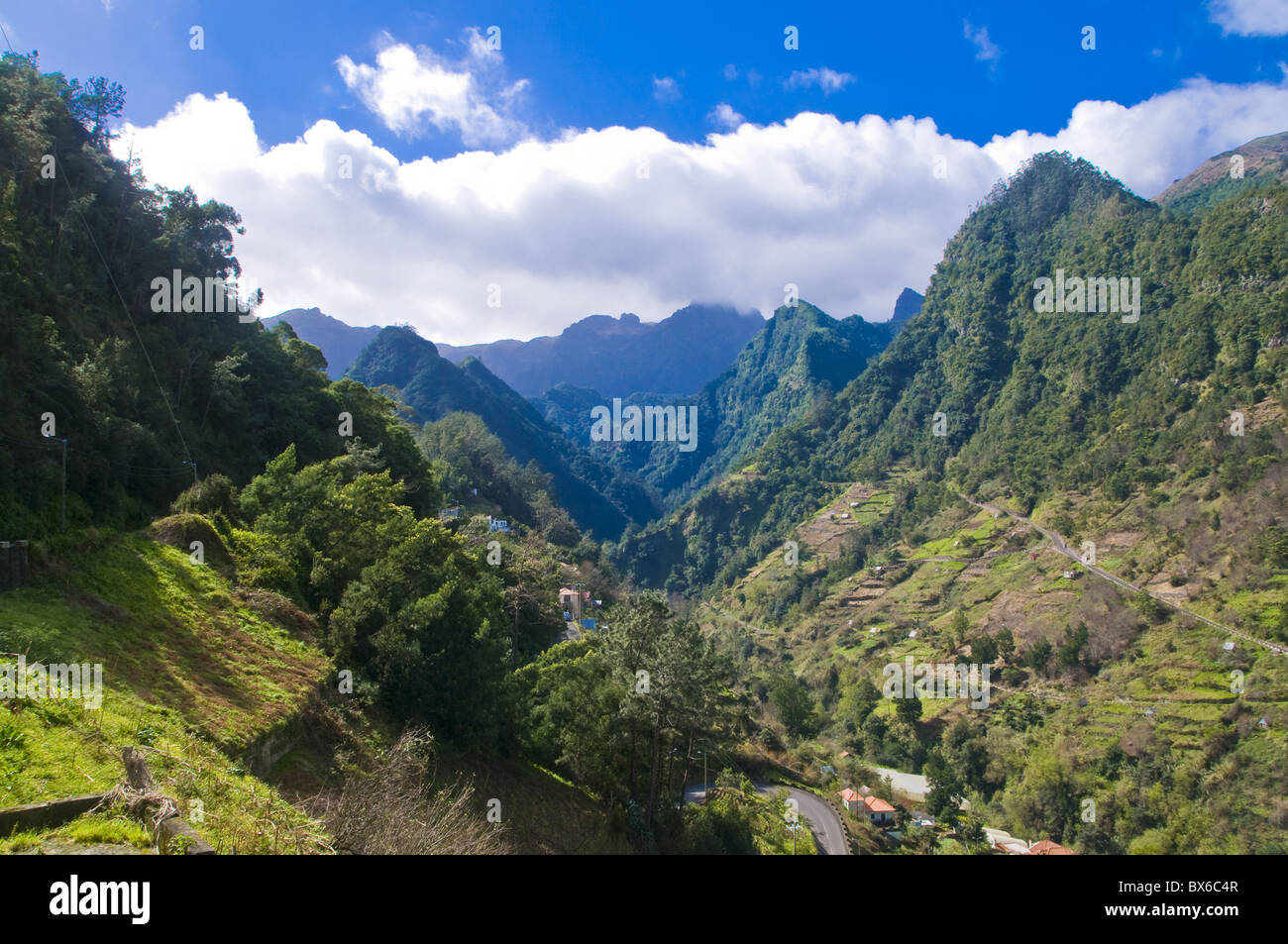Madeira scenery hi-res stock photography and images - Alamy