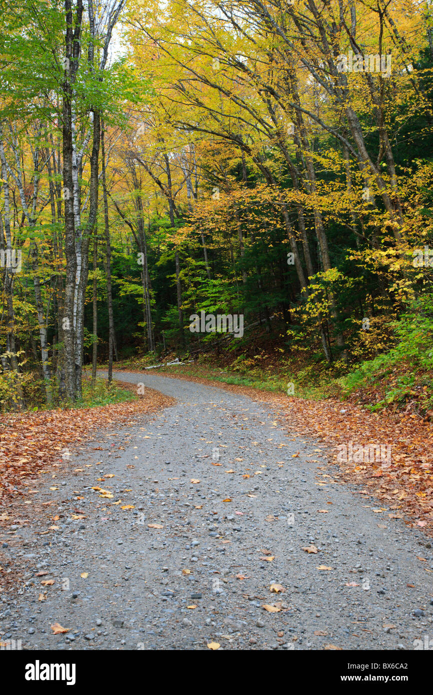 Tunnel Brook Road during the autumn months in Benton, New Hampshire USA ...