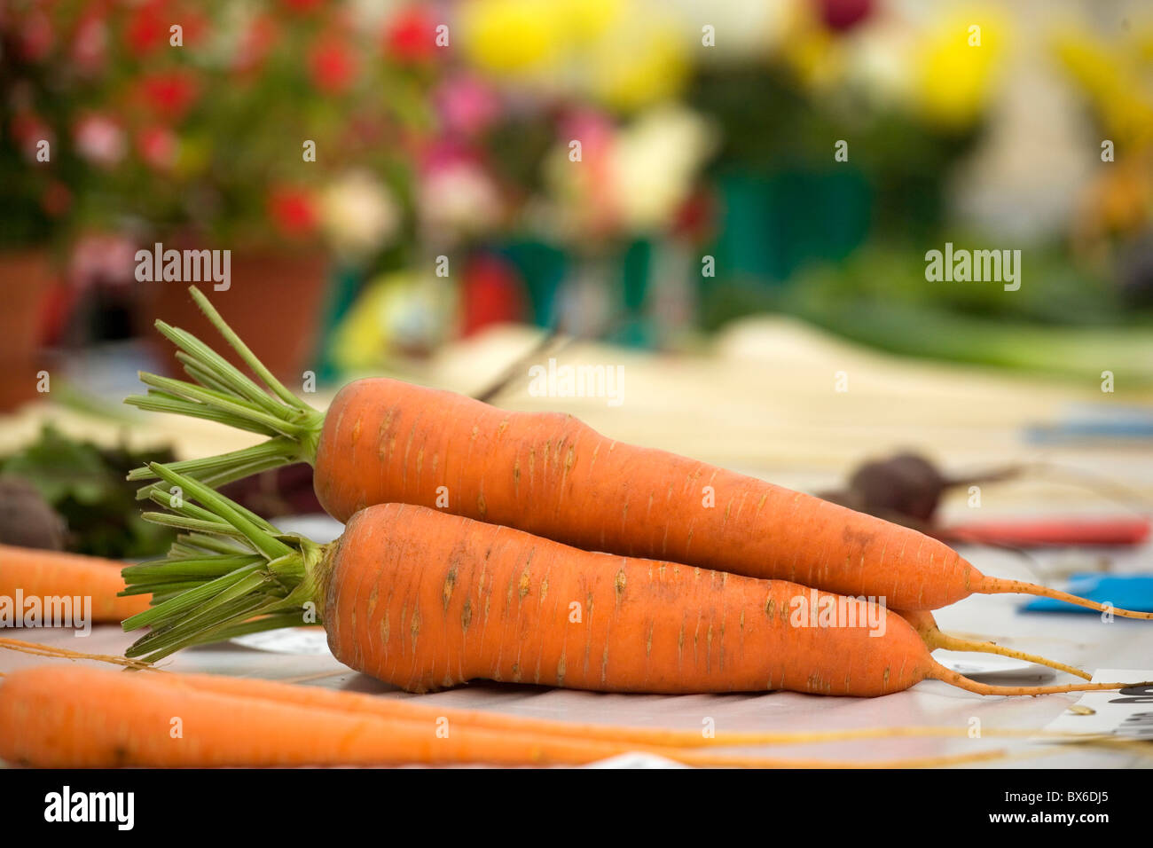 Giant carrot hi-res stock photography and images - Alamy