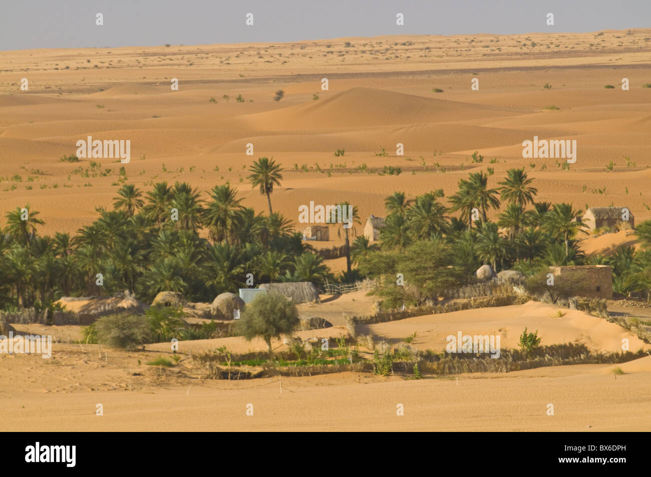 Mauritania desert hi-res stock photography and images - Alamy