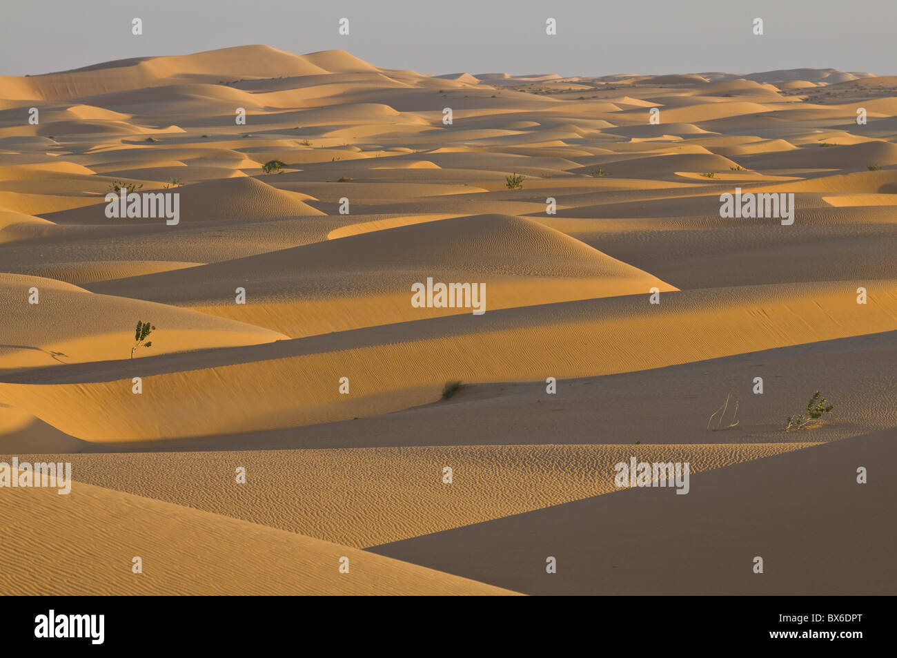 Sand dunes at sunset, near Chinguetti, Mauritania, Africa Stock Photo ...