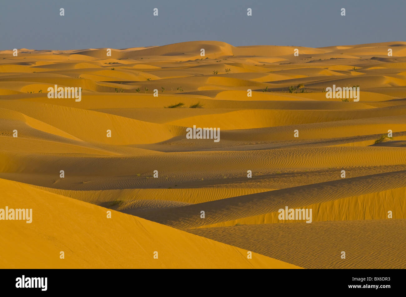 Sand dunes at sunset, near Chinguetti, Mauritania, Africa Stock Photo ...
