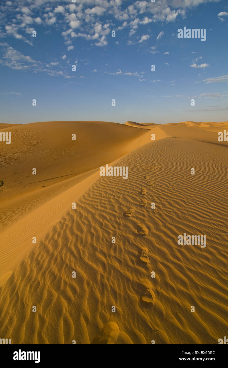 Footsteps in sand dunes at sunset, near Chinguetti, Mauritania, Africa ...