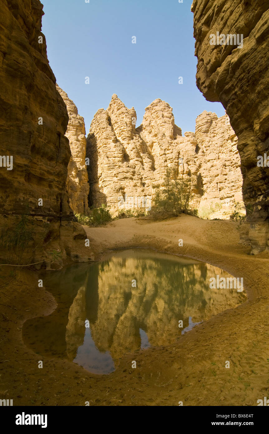 Little pool in the Essendilene Gorge, near Djanet, Southern Algeria ...