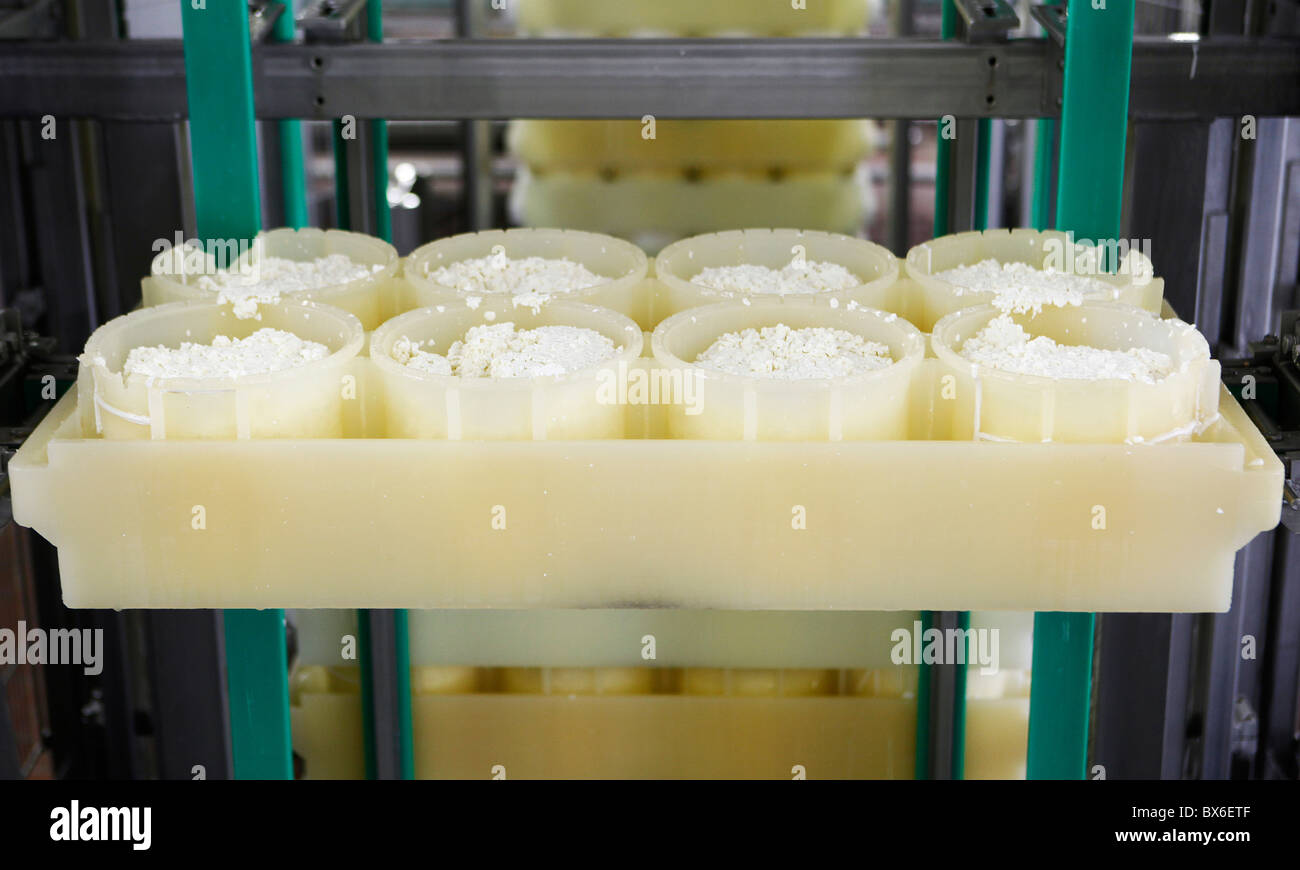 cheese, blue cheese, dairy works, cheesemaking, Niva Stock Photo - Alamy