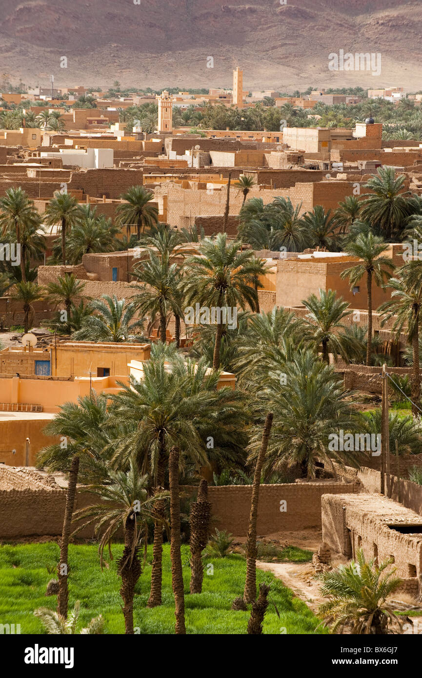 Panorama of Figuig, province of Figuig, Oriental Region, Morocco, North ...