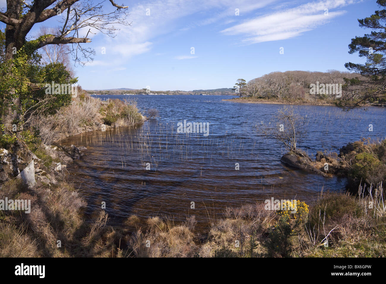 Mucross, Lake Killarney, Ring of Kerry, Munster, Republic of Ireland ...