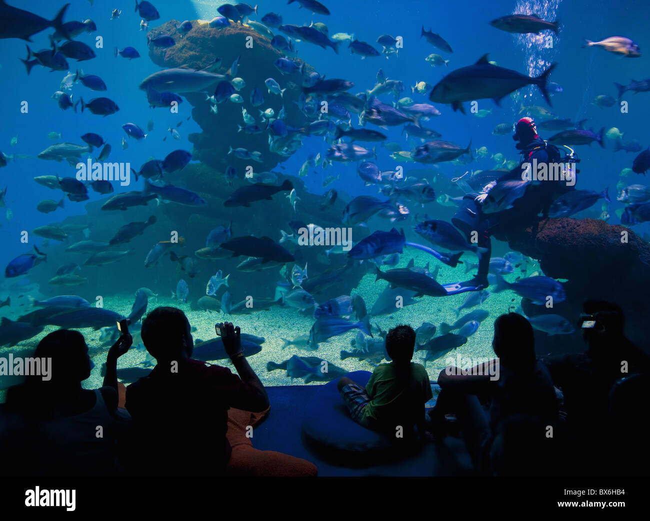 De palma hi-res stock photography and images - Alamy