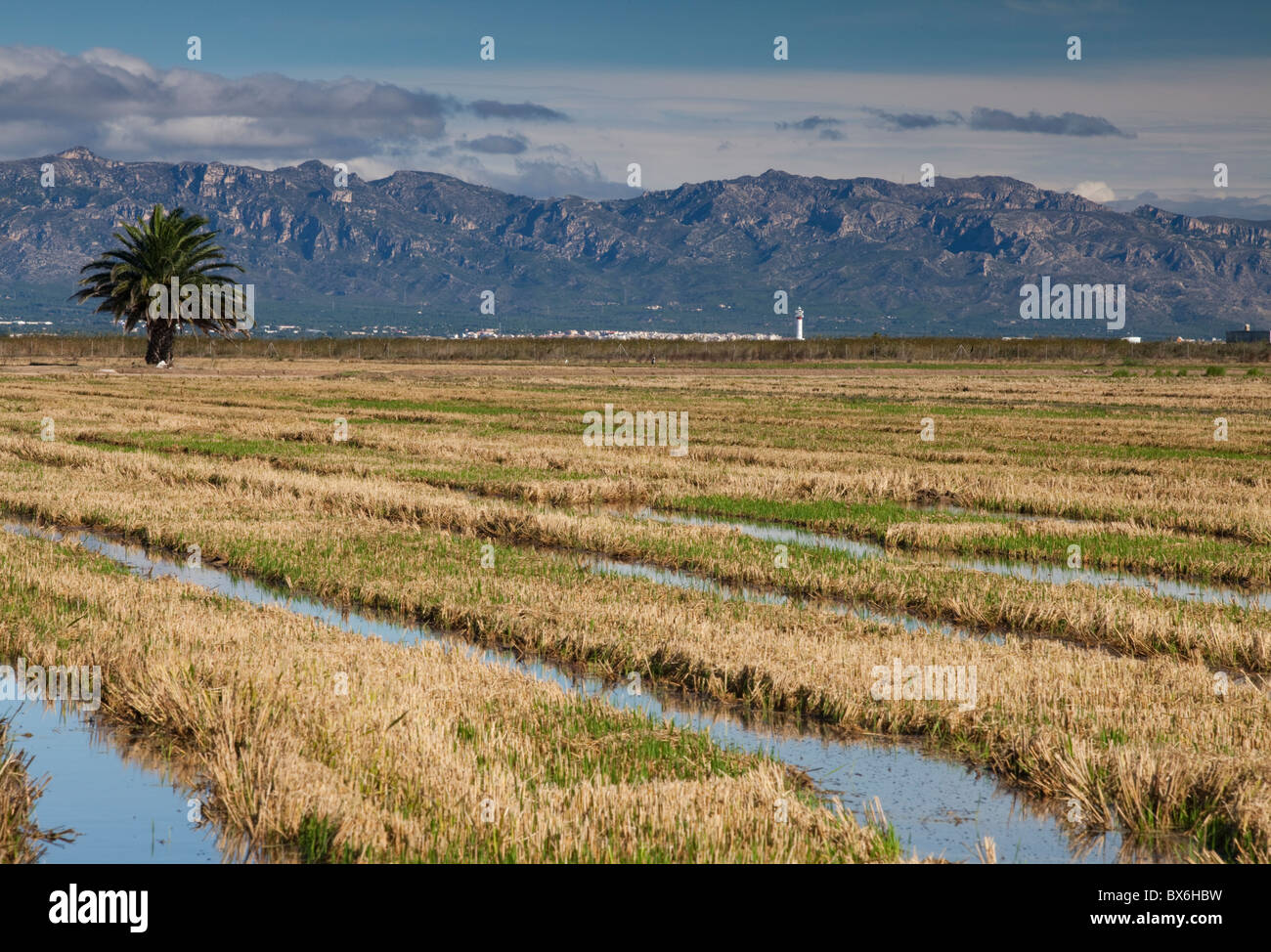 Around deltebre natural park delta hi-res stock photography and images ...