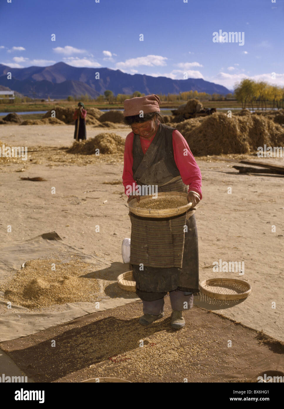 Woman winnowing wheat, Lhasa, Tibet, China, Asia Stock Photo - Alamy