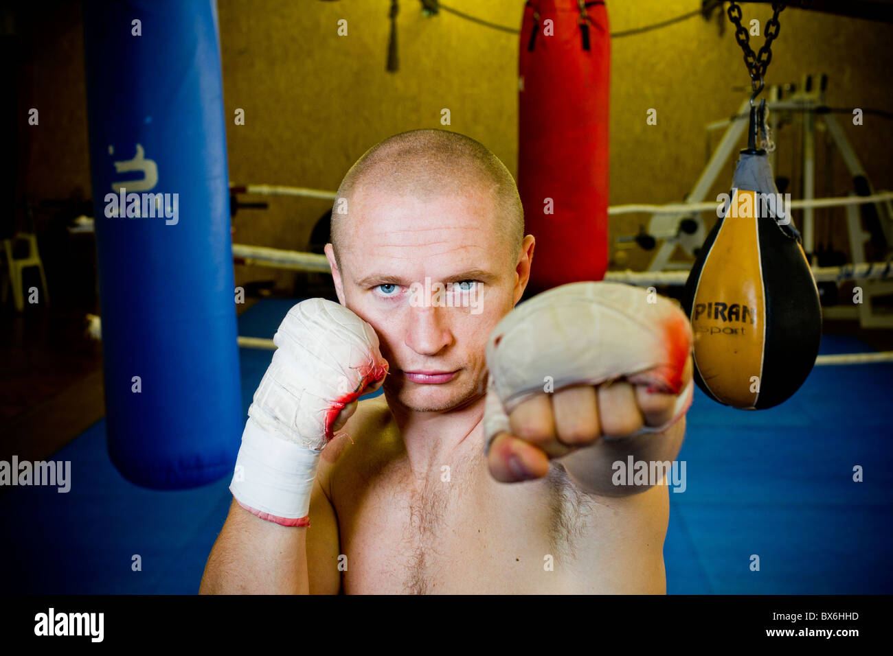 Lukas Konecny, professional boxer, sportsman, EBU European Champion ...