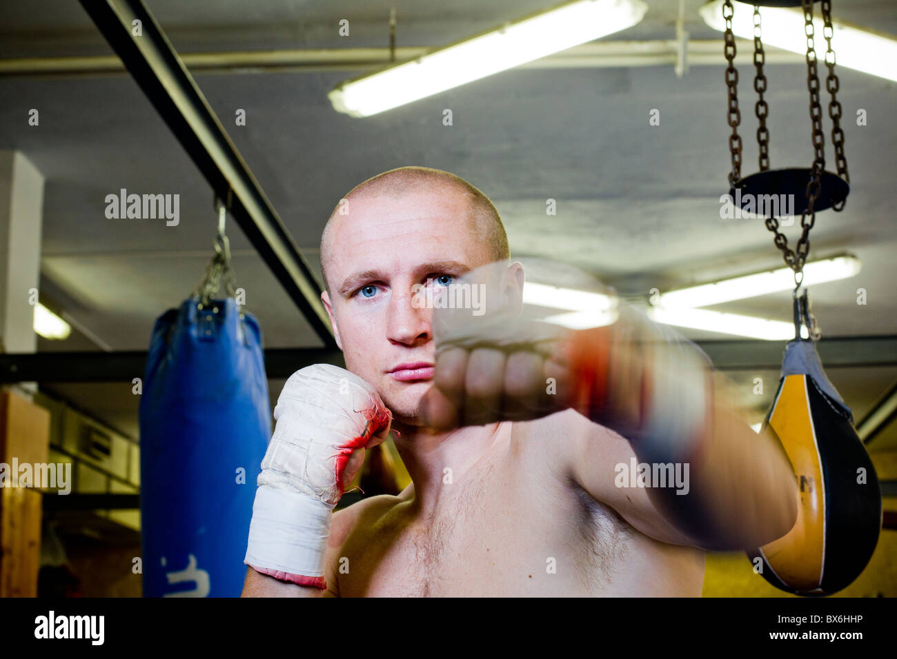 Lukas Konecny, professional boxer, sportsman, EBU European Champion ...