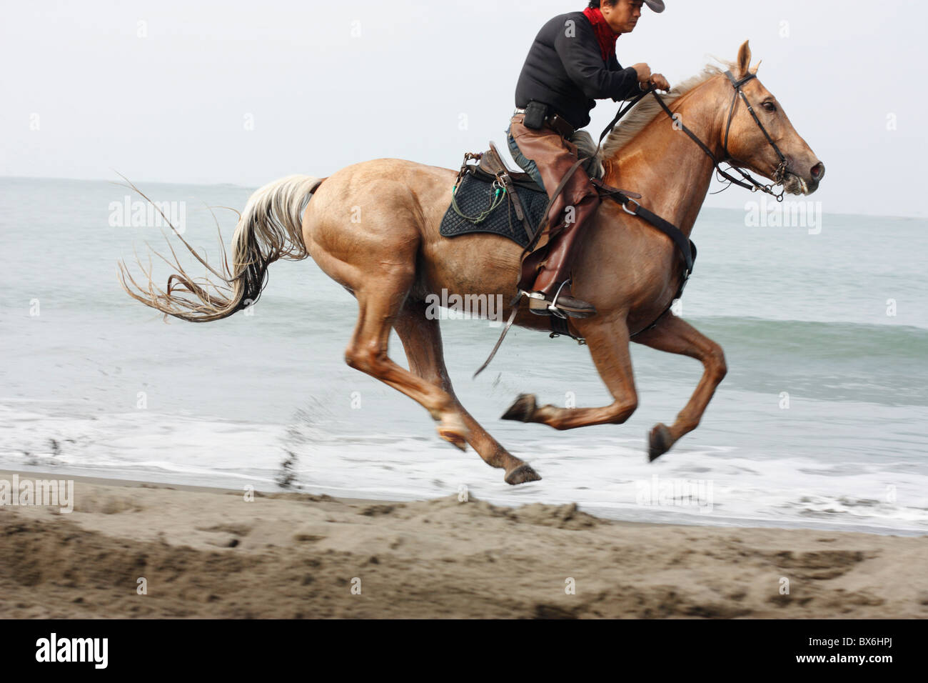 Horse And Rider Running