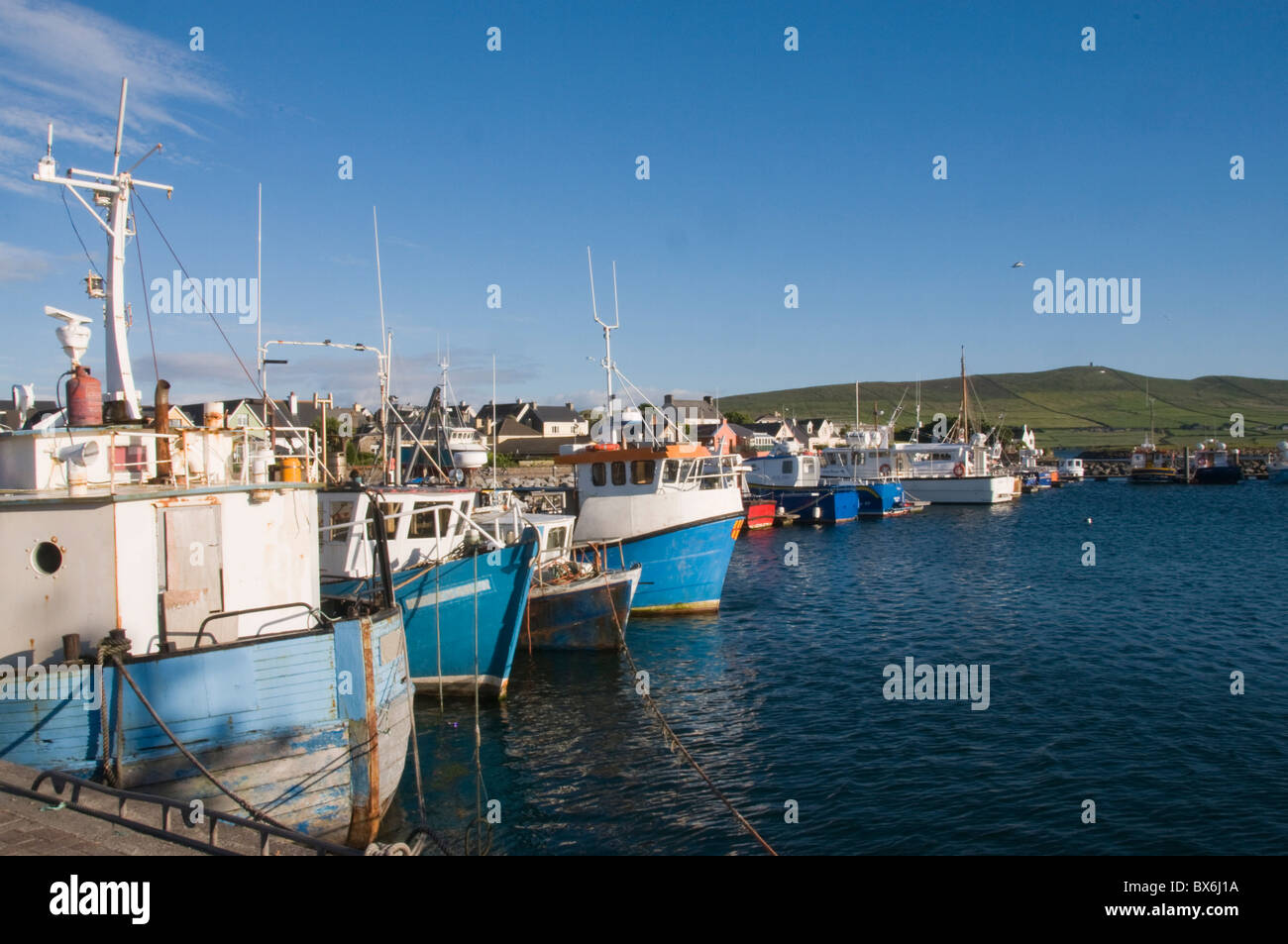 Dingle Harbour with fishing boats, Dingle, County Kerry, Munster ...