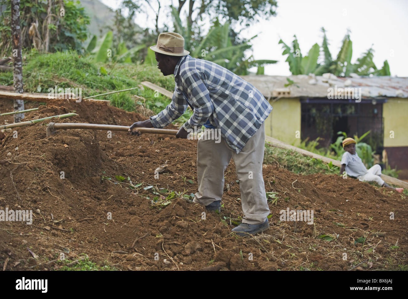 Haiti agriculture hi-res stock photography and images - Alamy