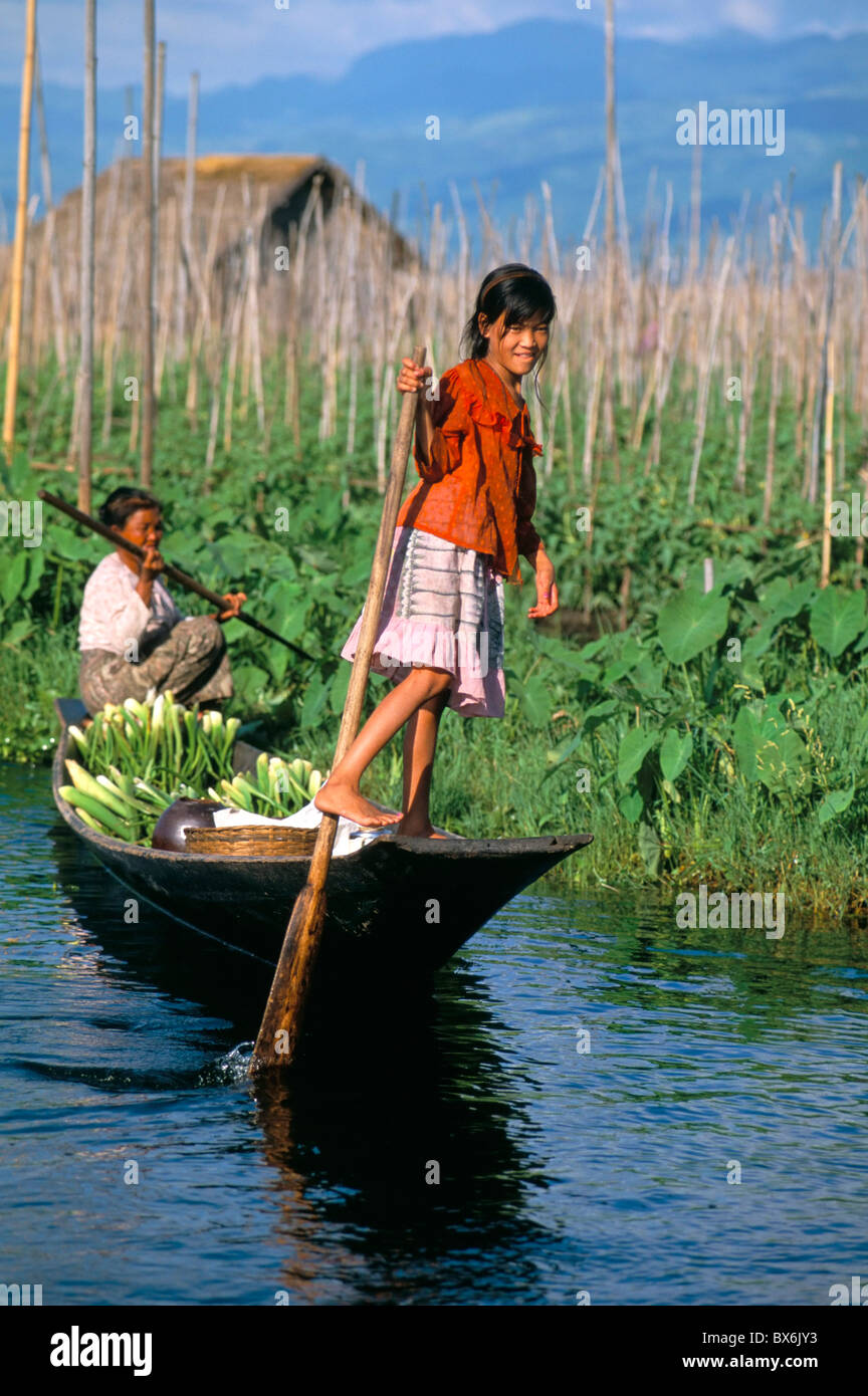 Onion floating fields, Inle Lake, Shan State, Myanmar (Burma), Asia ...