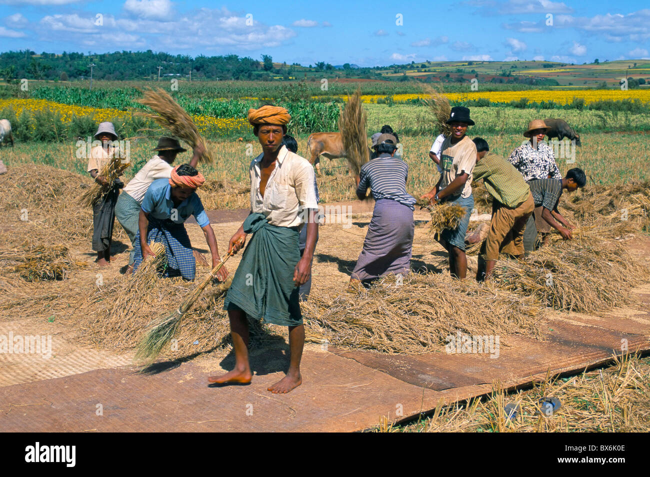 Myanmar workers hi-res stock photography and images - Alamy