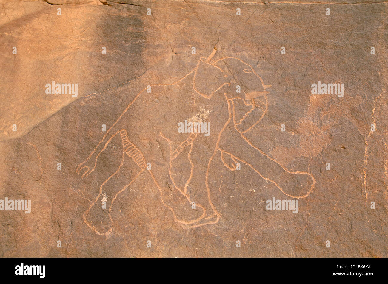 Elephant, primitive rock carving, Akakus, Sahara desert, Fezzan, Libya ...