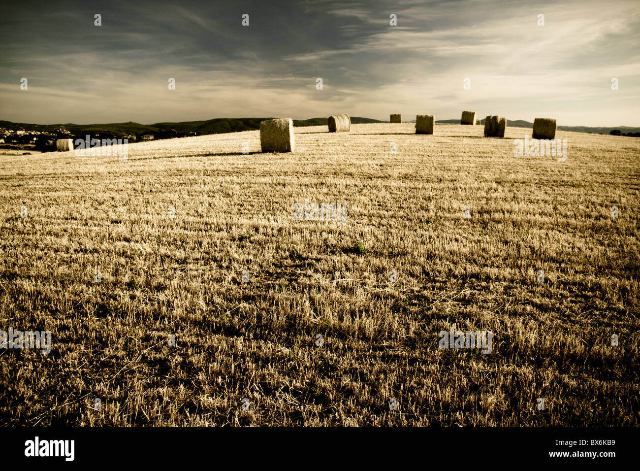 Typical italian field hi-res stock photography and images - Alamy