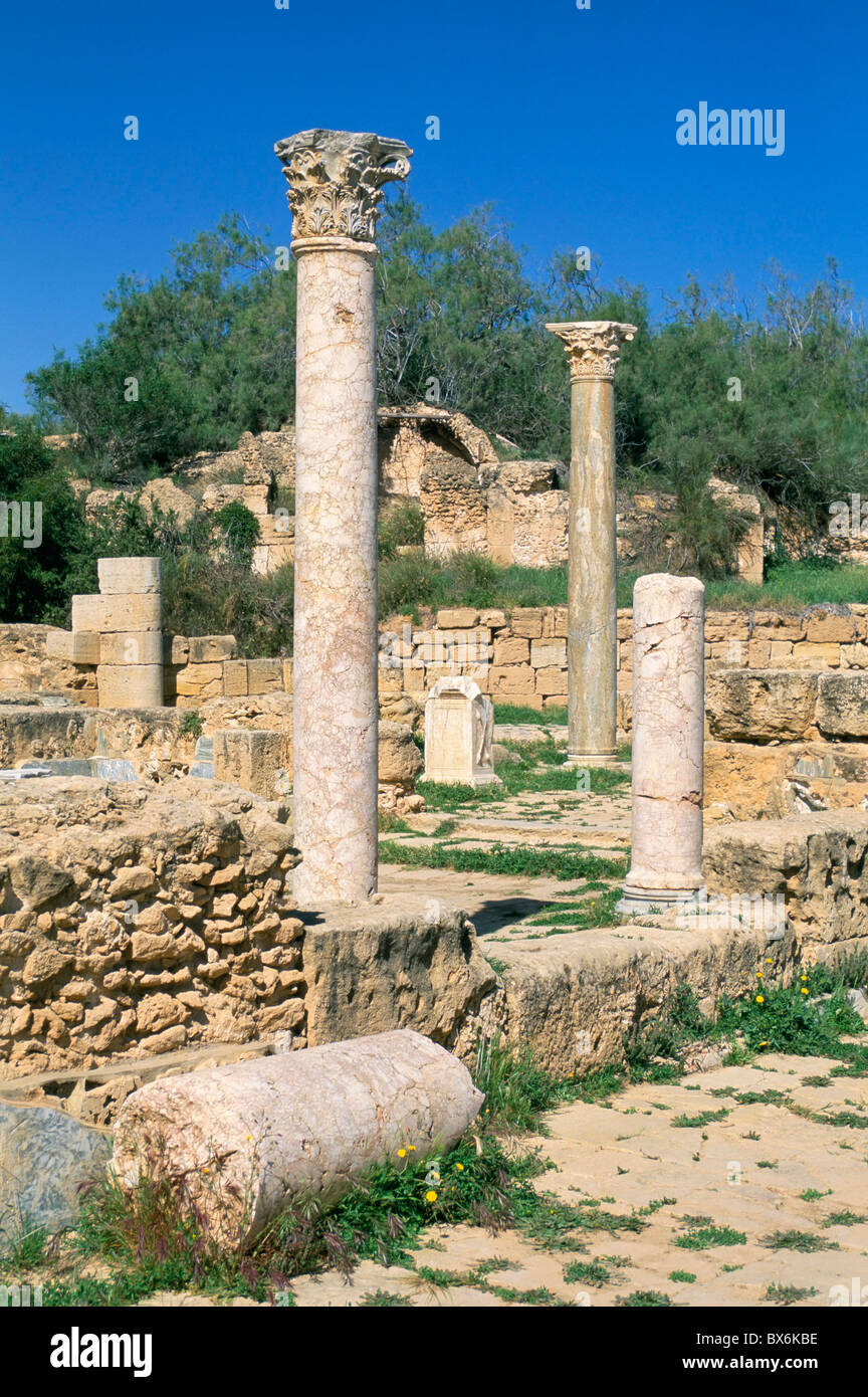 Leptis Magna, UNESCO World Heritage Site, Tripolitania, Libya, North ...