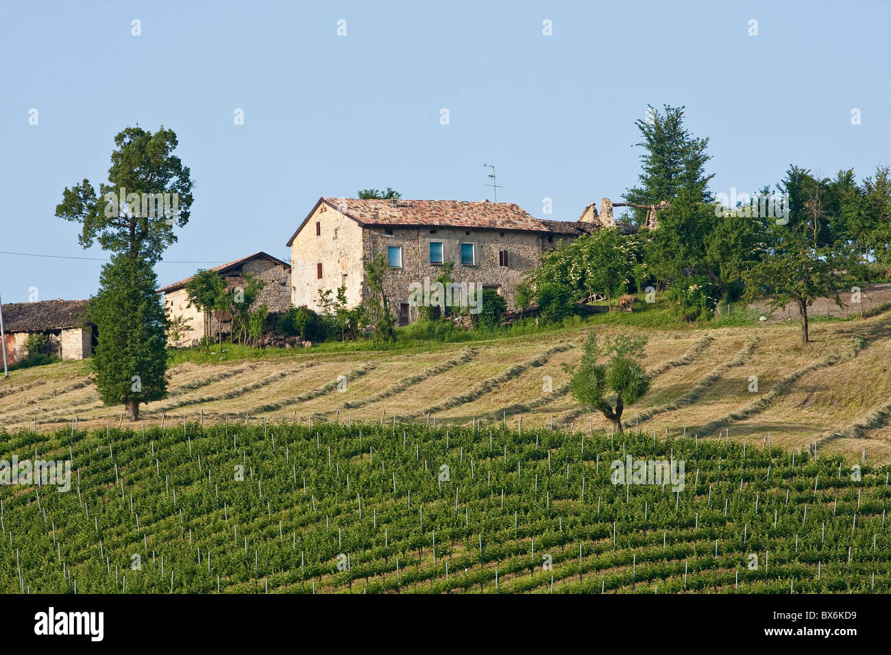 Typical italian villa hi-res stock photography and images - Alamy