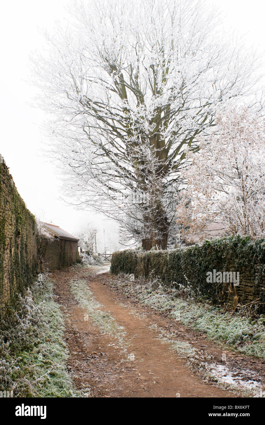 Church winterbourne hi-res stock photography and images - Alamy