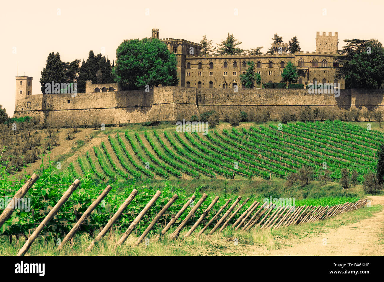landscape in Tuscany - Castello di Brolio with wineyard Stock Photo - Alamy