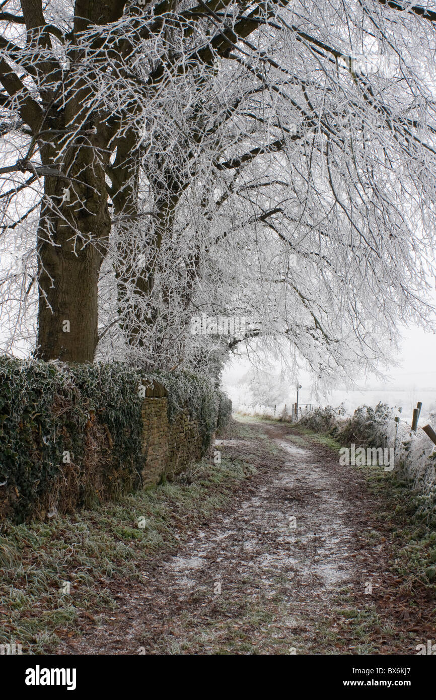 Church winterbourne hi-res stock photography and images - Alamy