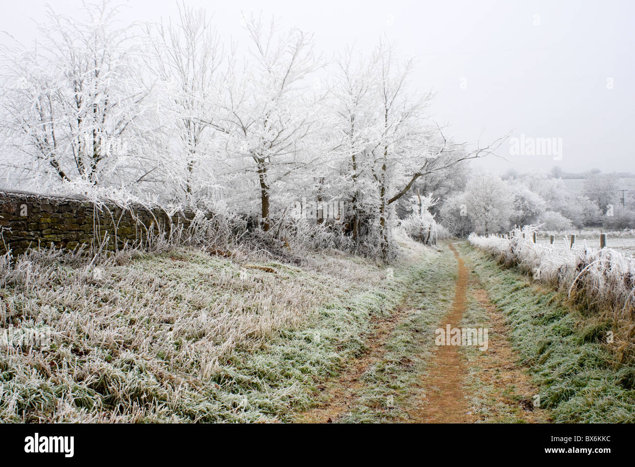 Church Winterbourne Stock Photos & Church Winterbourne Stock Images - Alamy