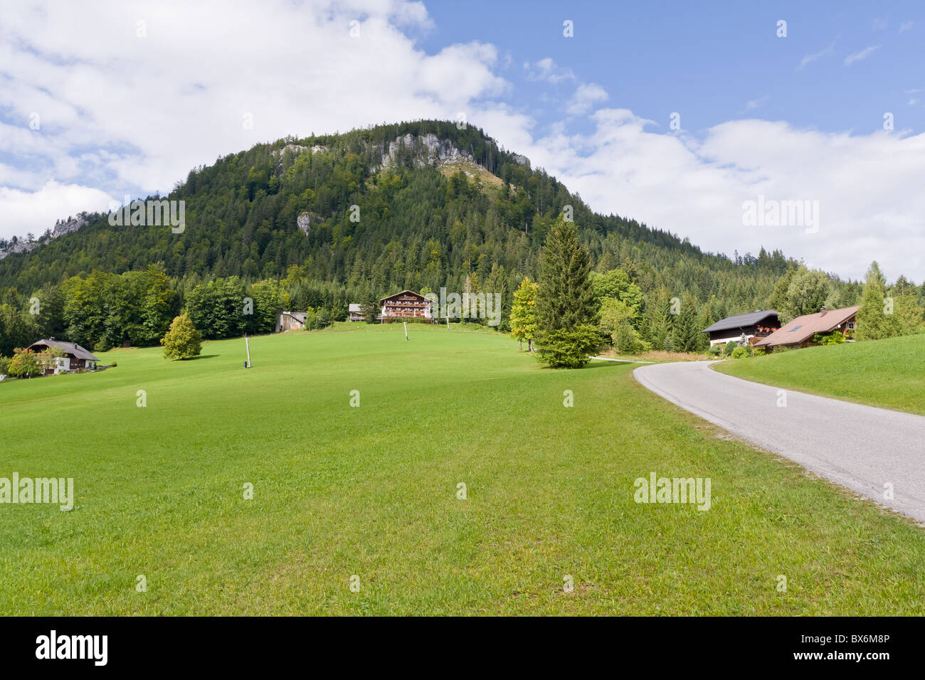 alpine farmland in the summer, Austria Stock Photo - Alamy