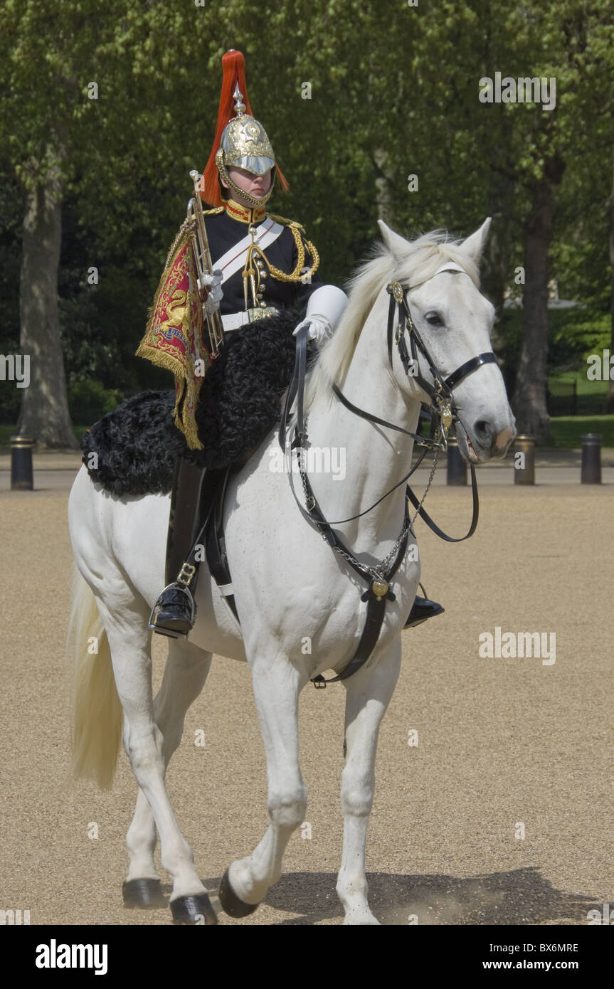 The Trumpeter of the Horse Guards, Horse Guards Parade, London, England ...