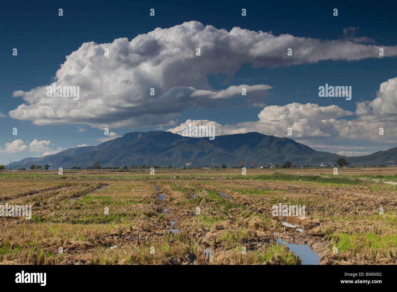 Around Deltebre, Natural Park of Delta de l'Ebre, Tarragona, Spain ...
