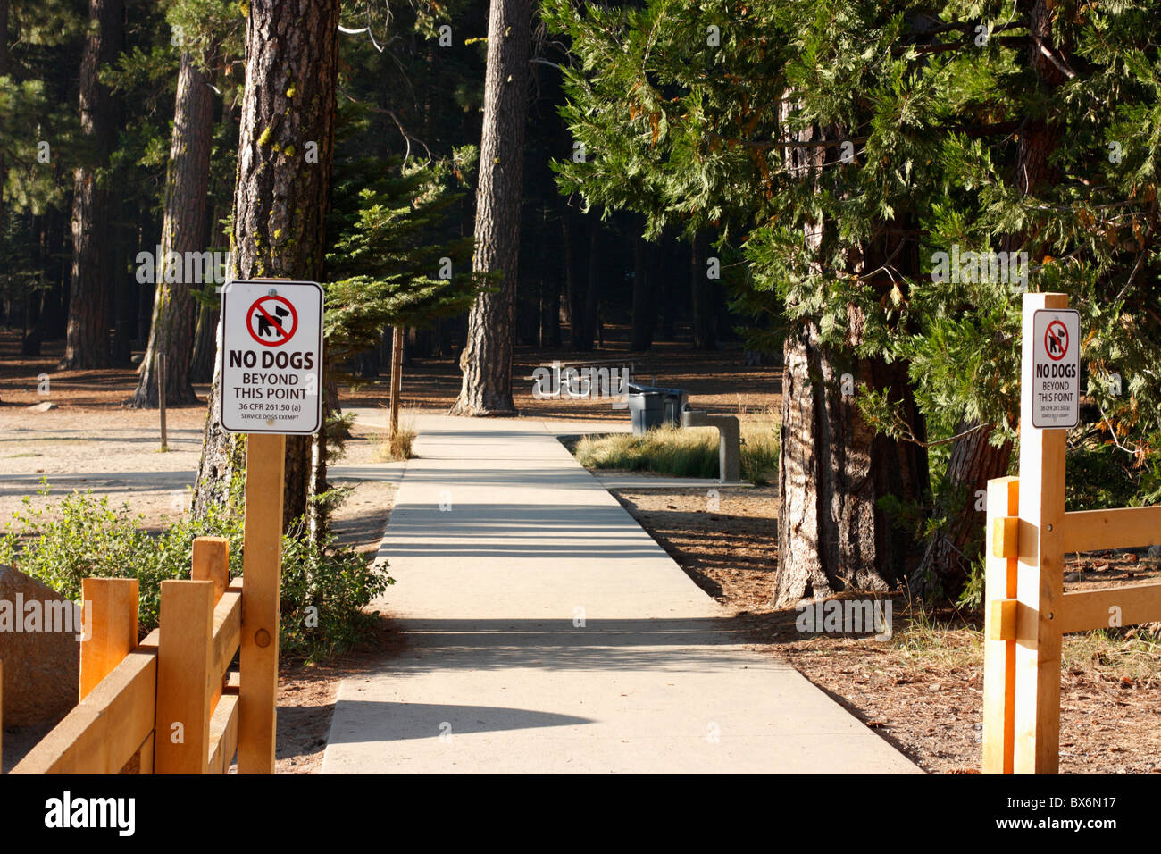 No Dogs signs at Pinecrest Lake, Tuolumne county, California ... No Dogs signs at Pinecrest Lake, Tuolumne county, California ...